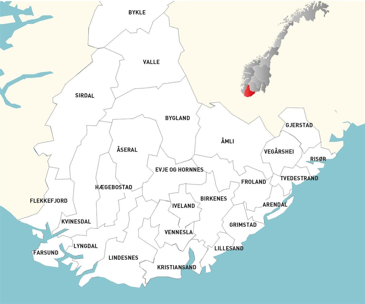 Formål og organisasjon - Agder kollektivtrafikk